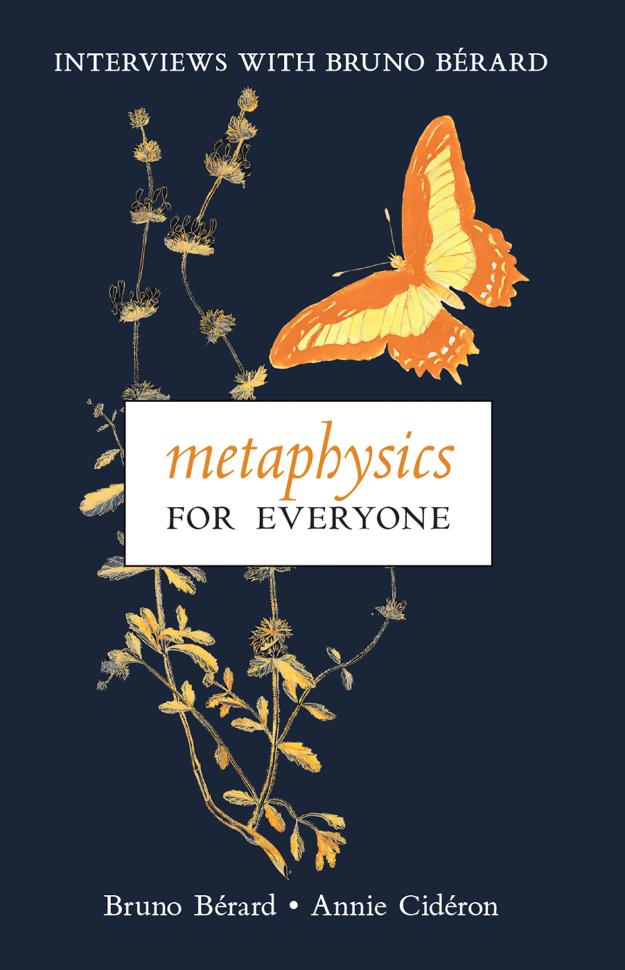 Metaphysics for Everyone: a clear & educational book